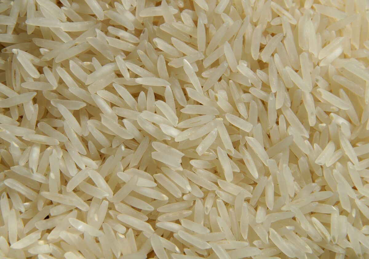 How Much Water To Cook Different Types Of Rice? - GastroVino Academy