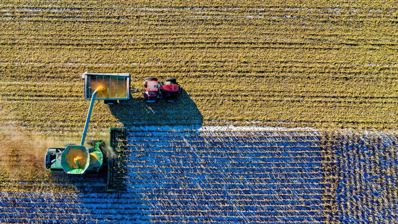 Difference Between Organic And Conventional Farming - GastroVino Academy