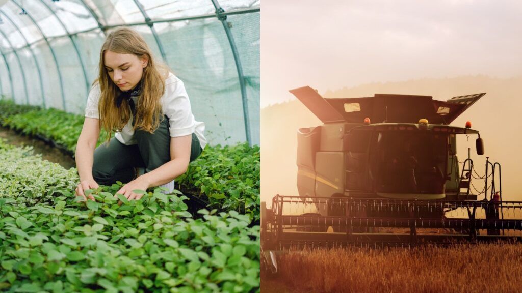 Difference Between Organic And Conventional Farming - GastroVino Academy